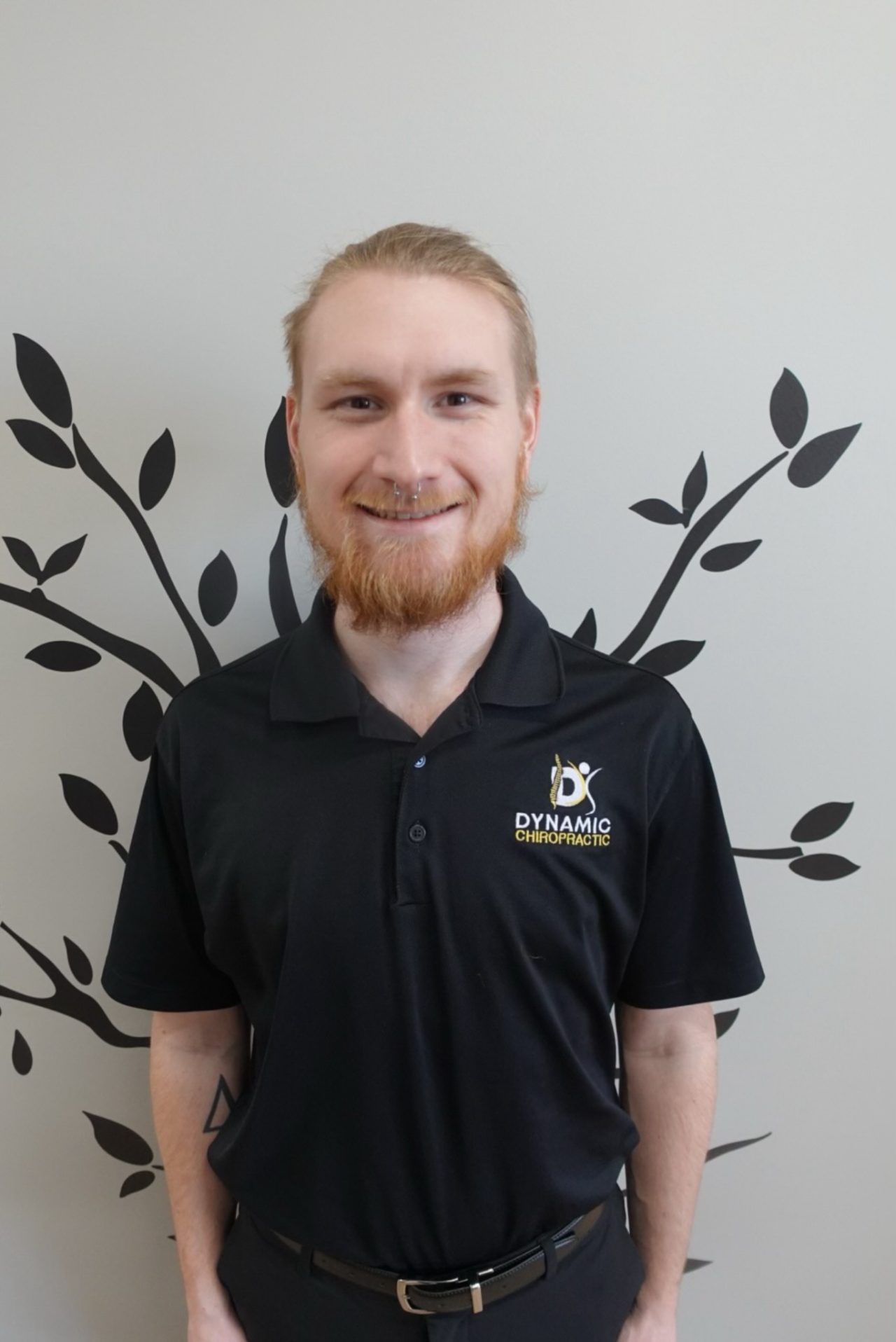 Home - Dynamic Chiropractic LLC - Blue Springs, MO Chiropractor